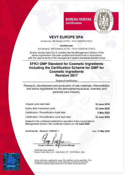 Vevy Europe Web Site